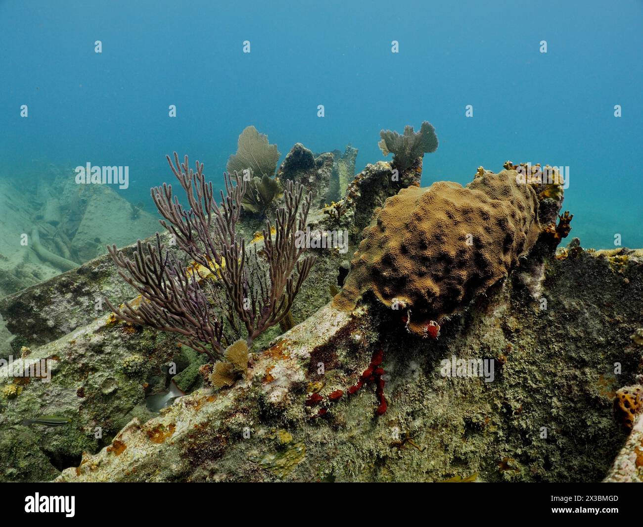 Wreck of the Benwood. Dive site John Pennekamp Coral Reef State Park ...