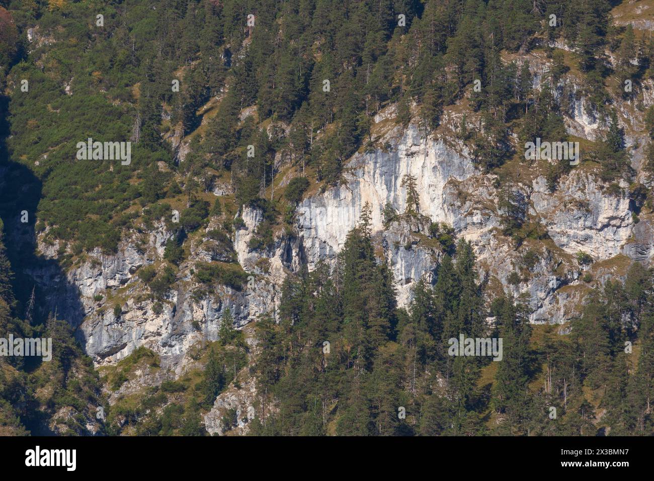 Rock face and forest on the Kramer massif, Garmisch-Partenkirchen ...