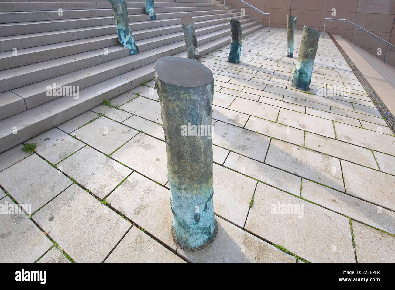 Memorial The Interrupted Forest by Ariel Auslender 2013, tree stumps ...