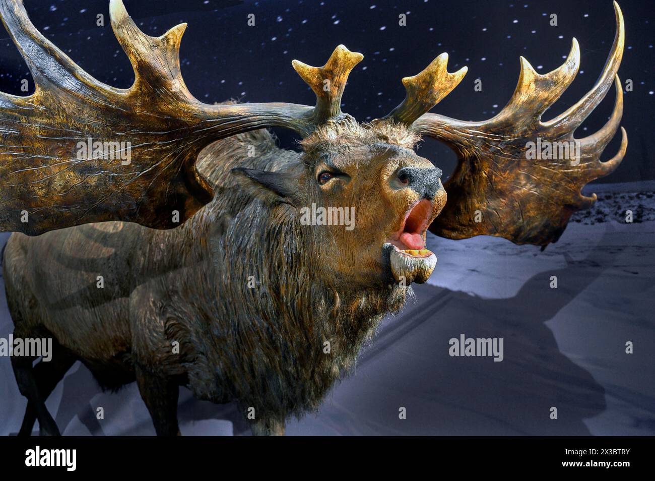 The Ice Age Moose, exhibition Ice Age Safari Allgaeu in the Marstall ...