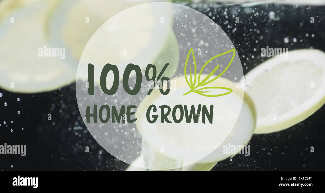 Image of 100 percent home grown text over fruit falling in water ...