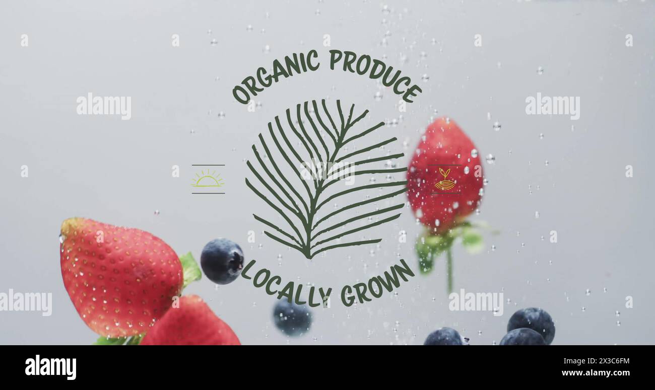 Vegan food locally grown animation hi-res stock photography and images ...