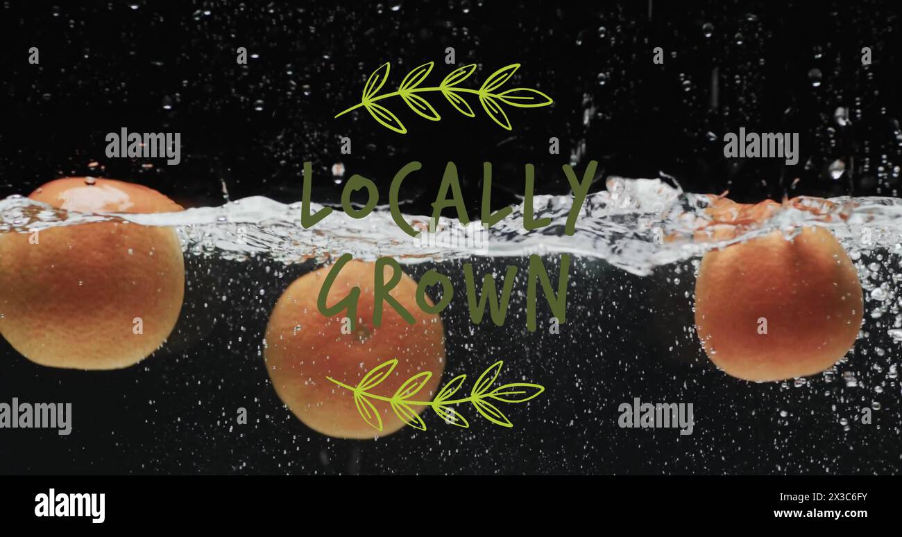 Vegan food locally grown animation hi-res stock photography and images ...