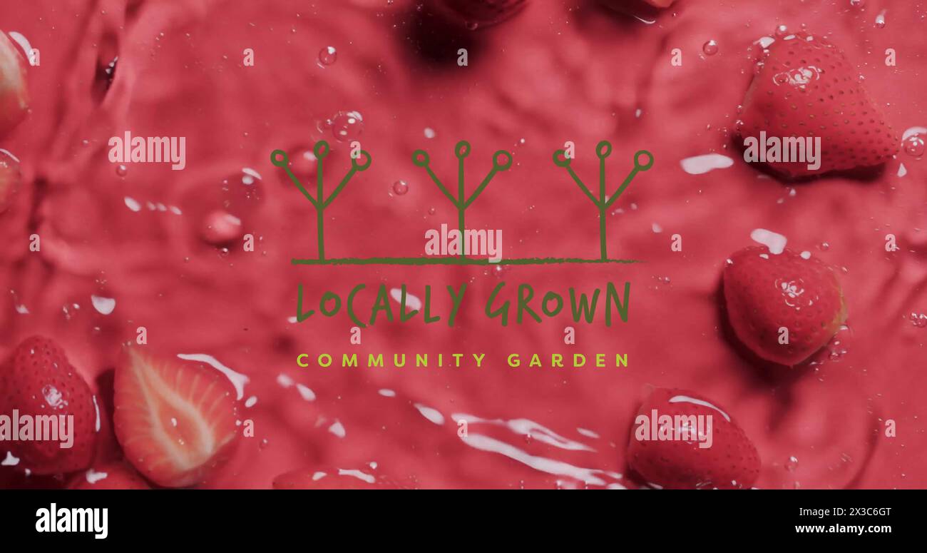 Vegan food locally grown animation hi-res stock photography and images ...