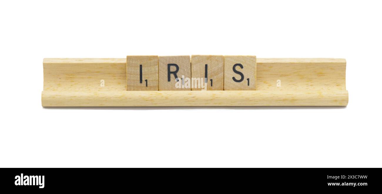 Miami, FL 4-18-24 popular baby girl first name of IRIS made with square ...