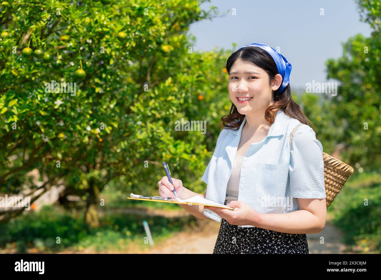 young women plant scientist work in orange farm. female working collect ...