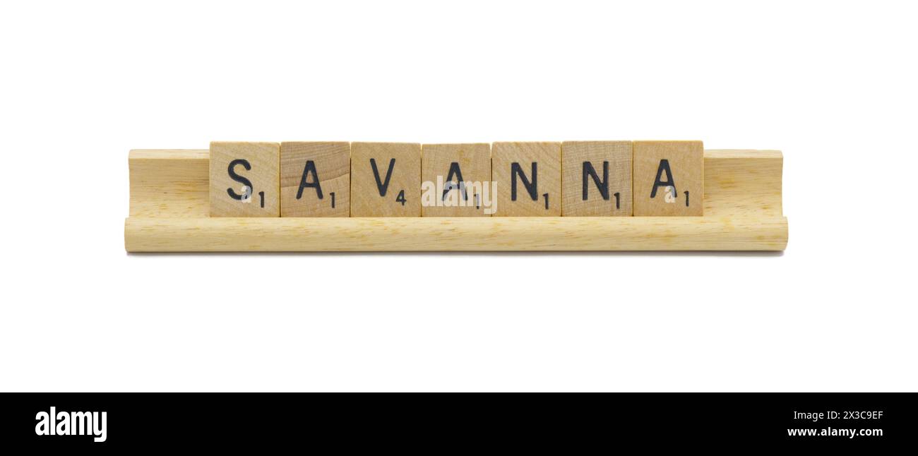 Miami, FL 4-18-24 popular baby girl first name of SAVANNA made with ...