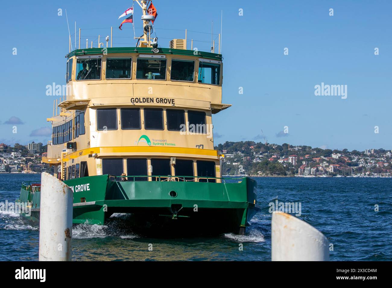 First fleet class Sydney ferry, the MV Golden Grove approaches Cremorne ...
