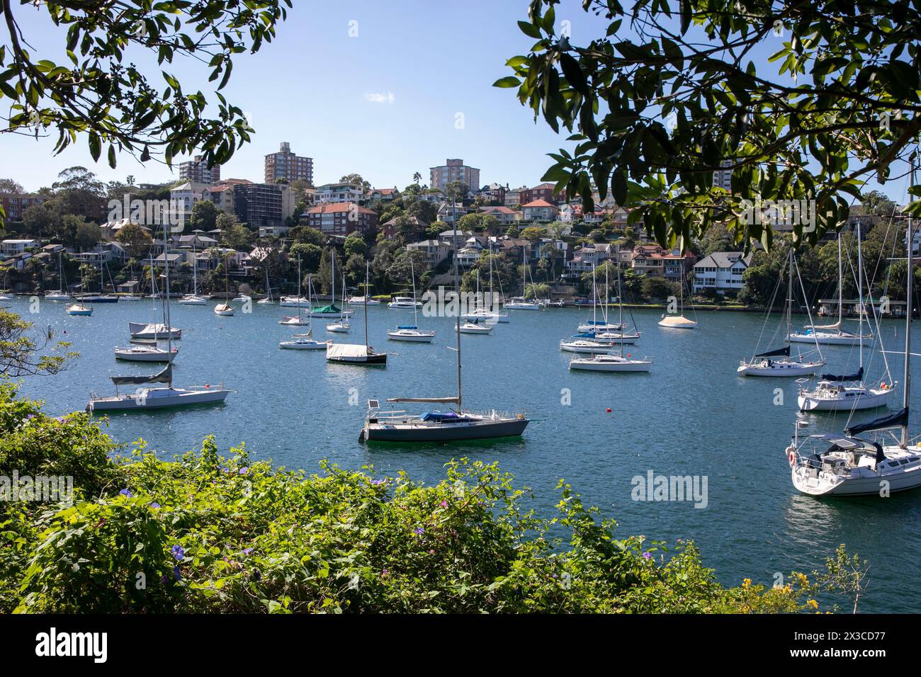 Mosman Bay on Sydney harbour, sailing yachts and boats moored in the ...