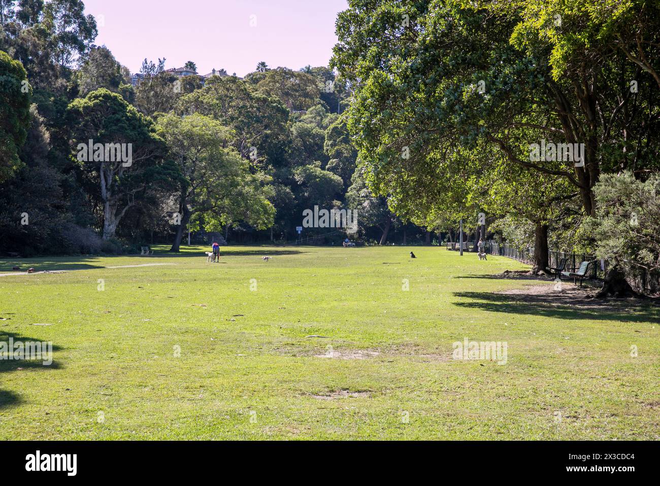 Mosman,Sydney,Australia Reid Park is an urban park adjacent to Mosman ...