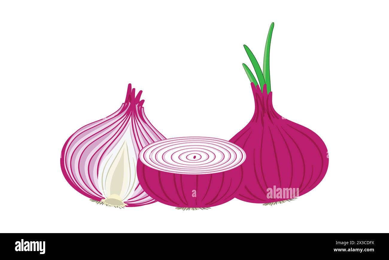 Green onion vector vectors Stock Vector Images - Alamy