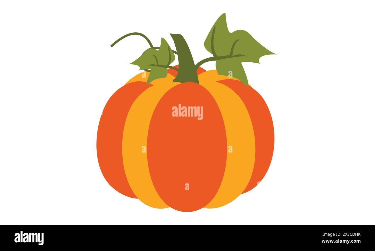 Pumpkin plant illustration Stock Vector Images - Alamy