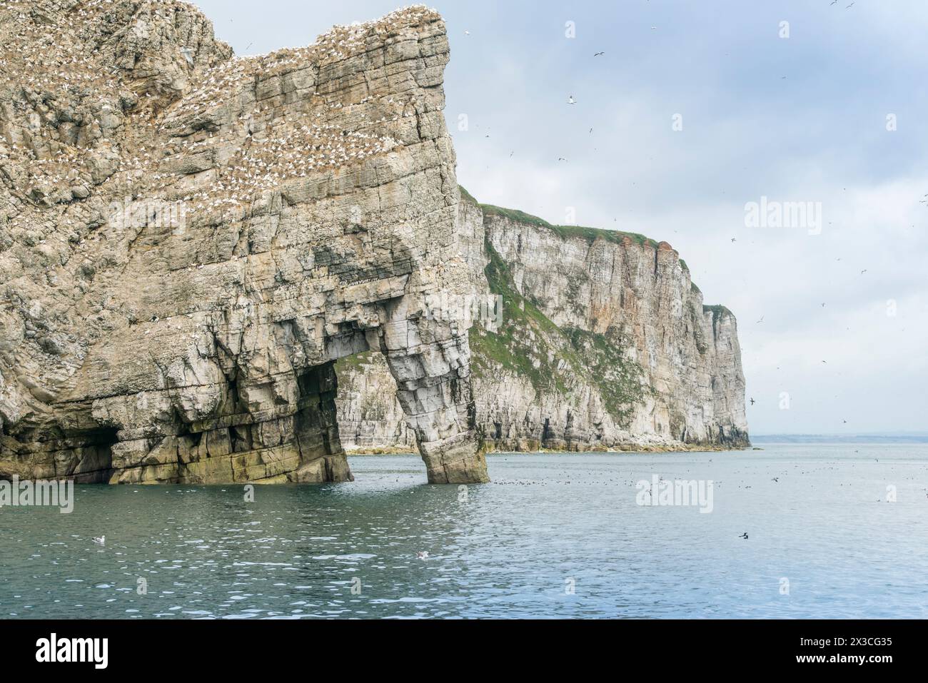 A view of Bempton clliffs at sea level and partcularly Scale Nab in the ...