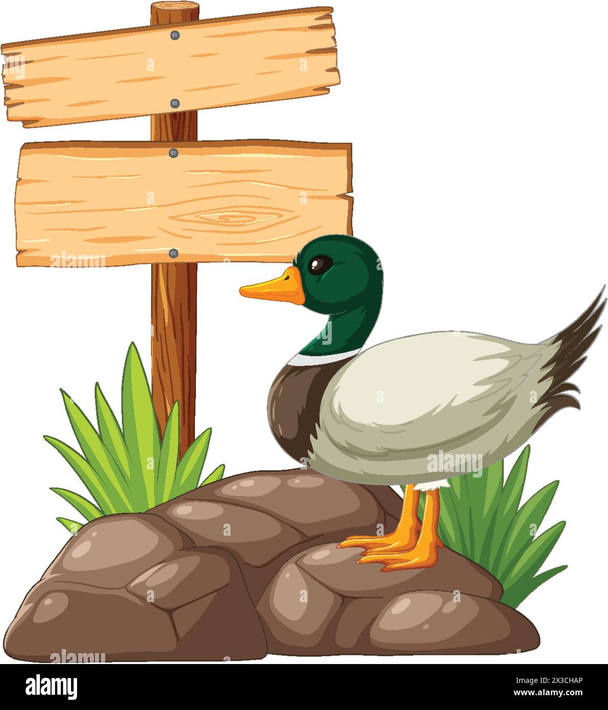 Cartoon duck standing next to a blank sign Stock Vector Image & Art - Alamy