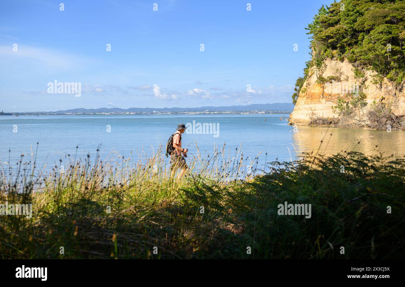 Kauri point centennial loop track hi-res stock photography and images ...