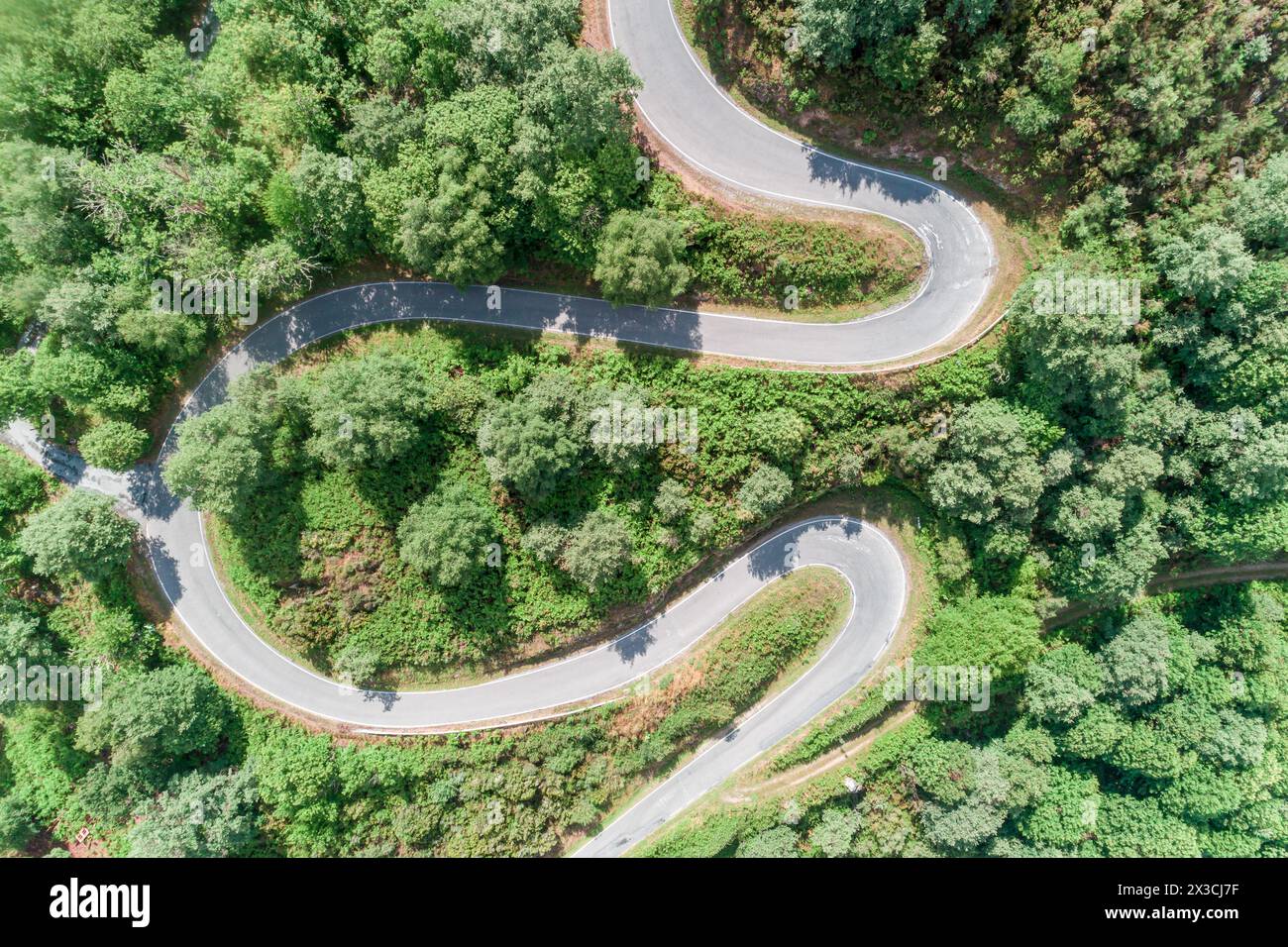drone aerial top view of a curvy road and an oak forest Stock Photo - Alamy