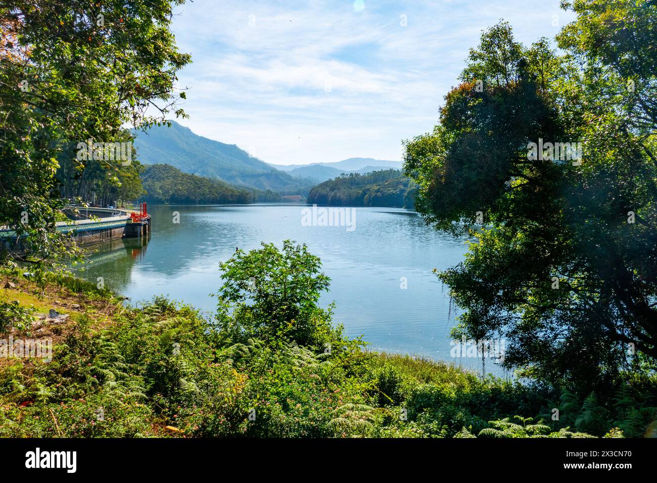 scenic Kundala lake in the national park in Kerala, India Stock Photo ...