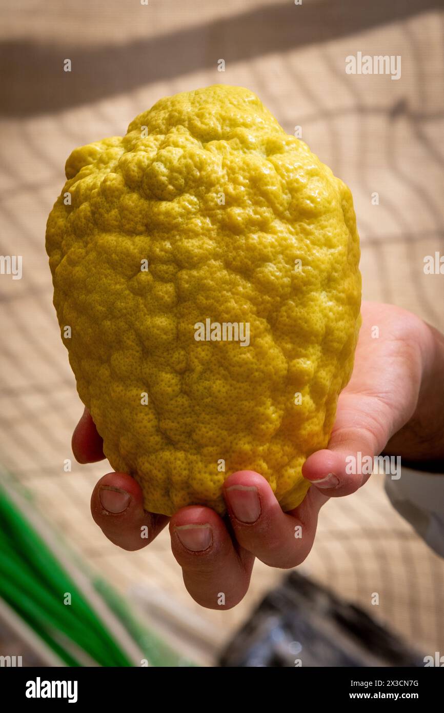Yemenite fruit hi-res stock photography and images - Alamy