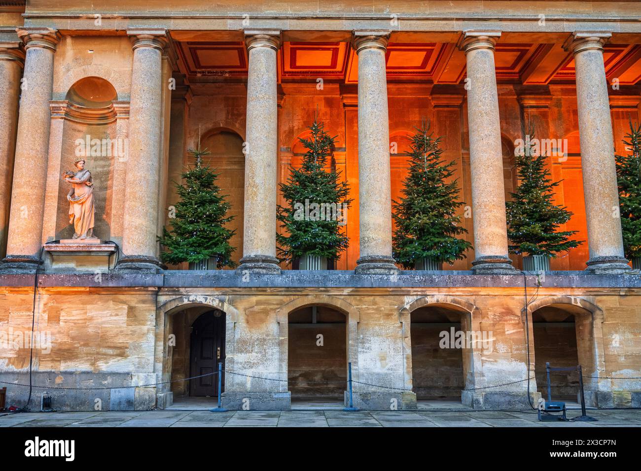 Christmas trees along east side of Great Court - Christmas at Blenheim ...