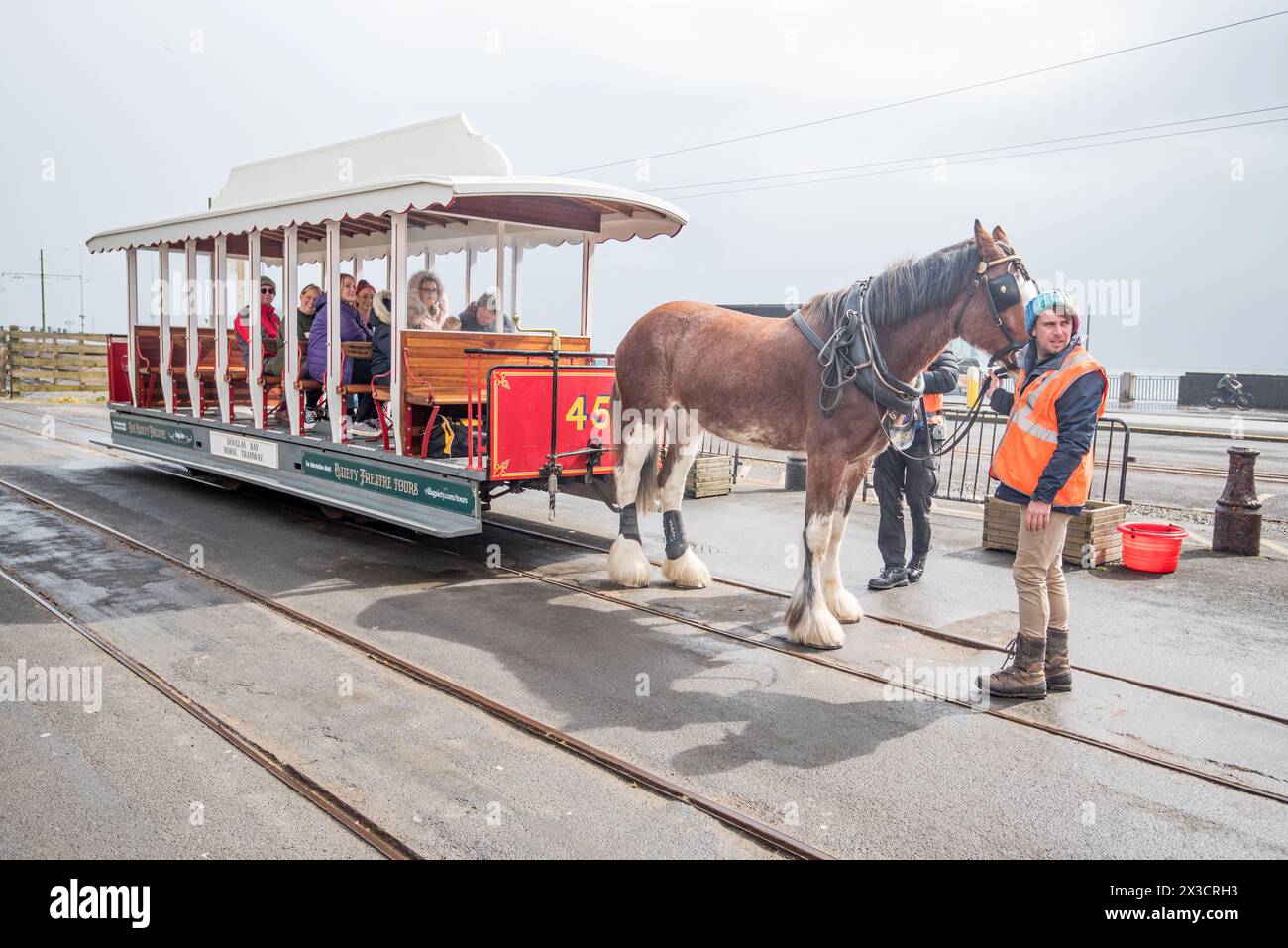 Freshly changed over places horse about to start pulling the tram. This ...