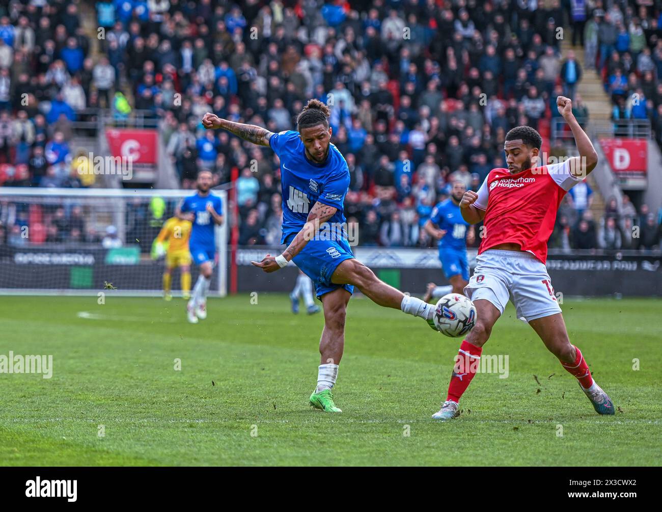 Rotherham United v Birmingham City, April 20 2024, Tyler Roberts shot ...