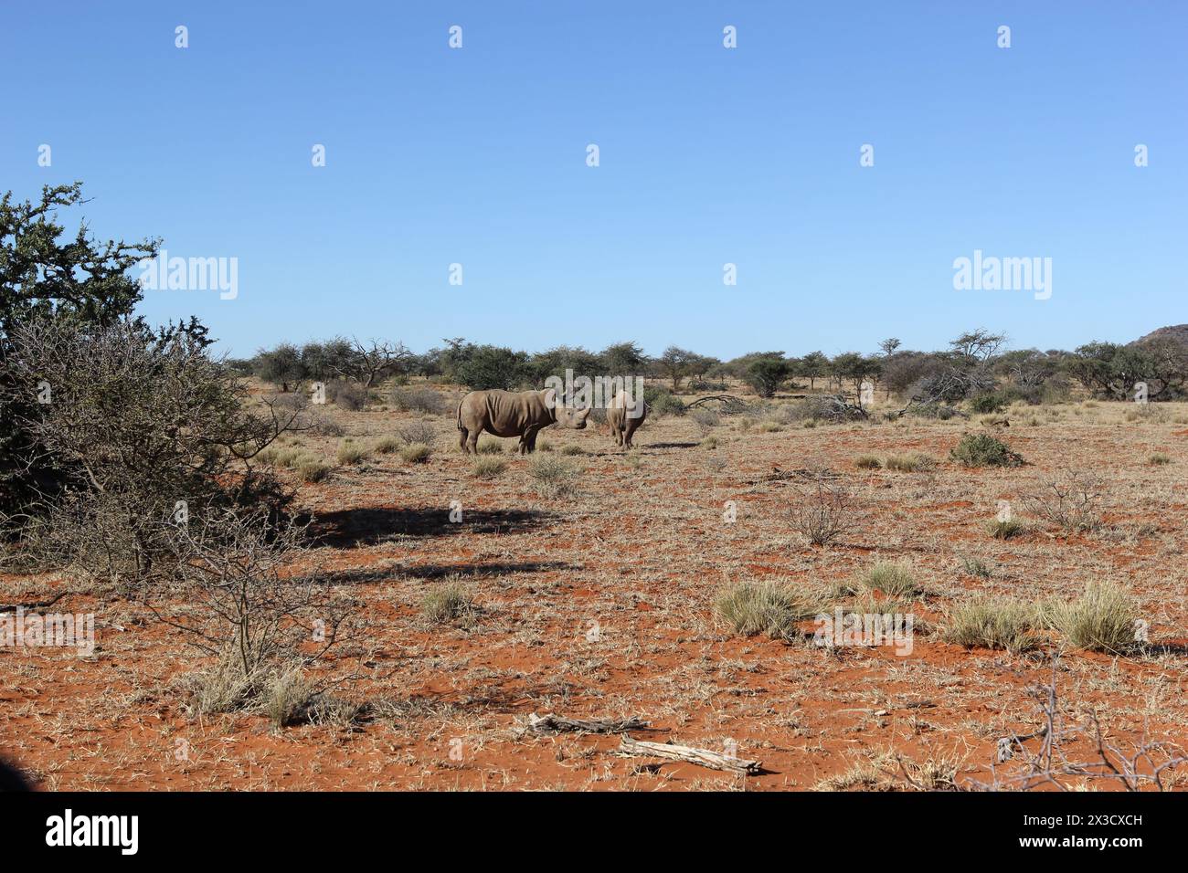 African scenery hi-res stock photography and images - Alamy
