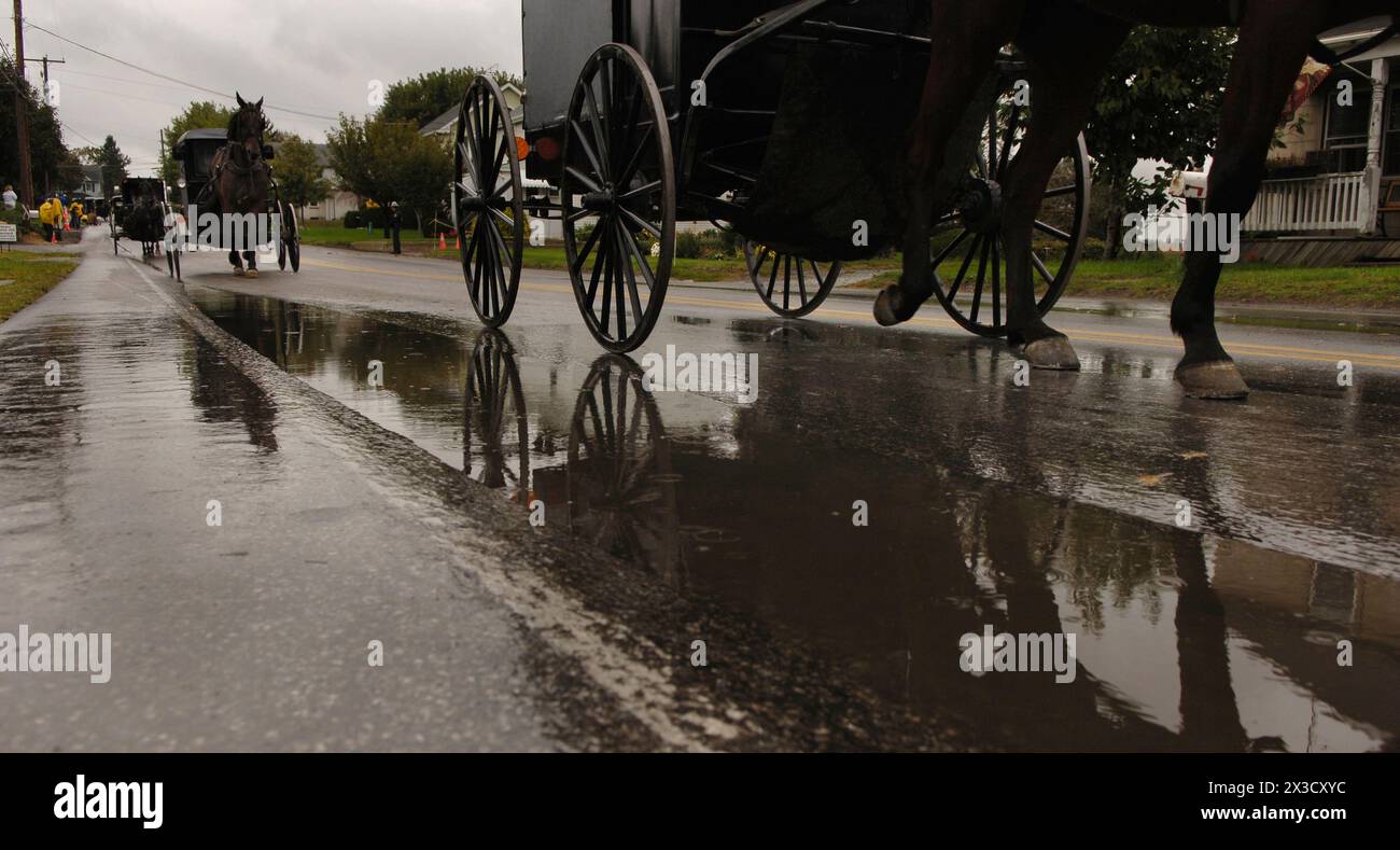 Horse and buggies drive on a wet road, making up a funeral procession ...