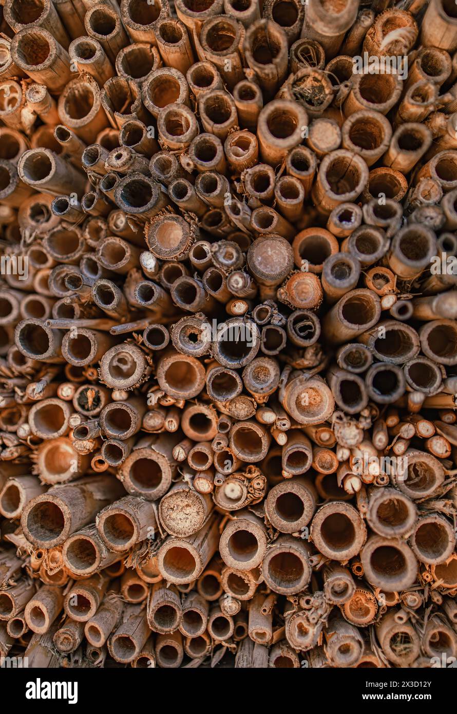 Log beehive hi-res stock photography and images - Alamy