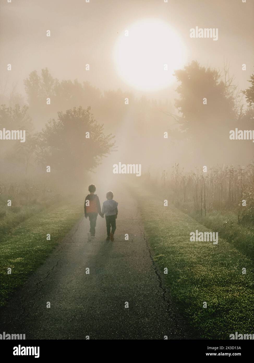 Children walking hand in hand in morning mist Stock Photo - Alamy