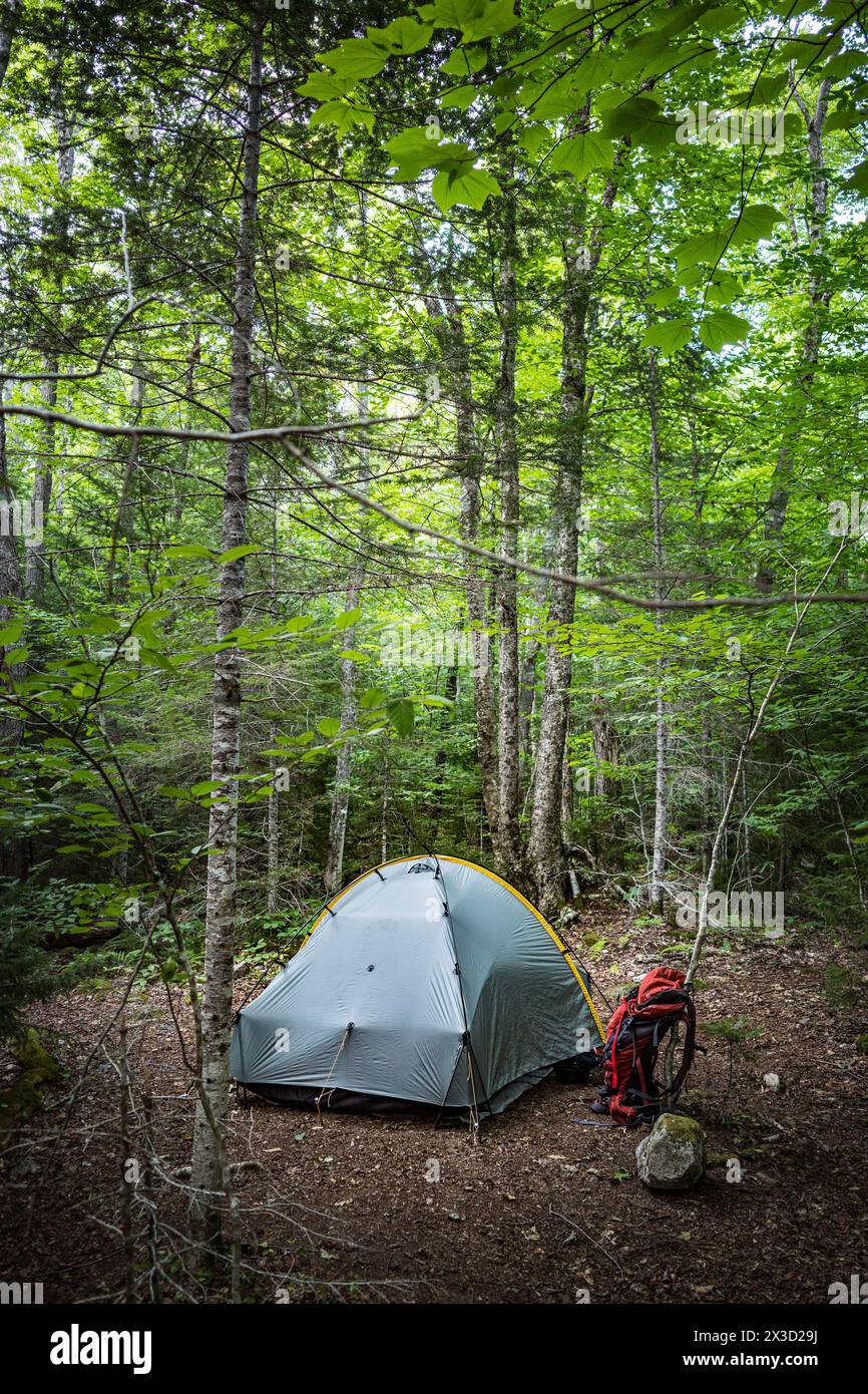 Backpacking Tent and Backpack at a Woodland Campsite Stock Photo - Alamy