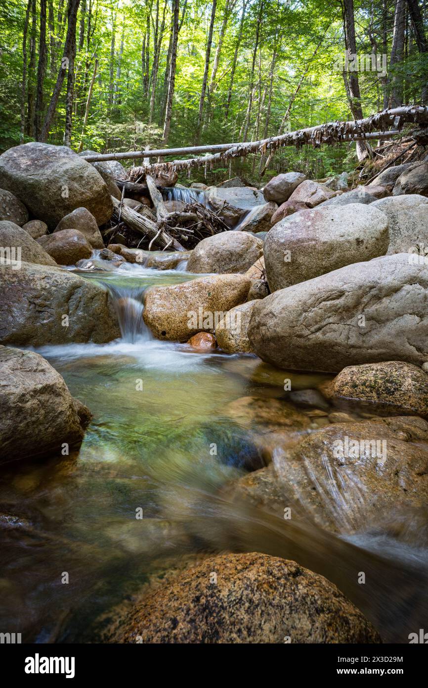 Pemigawassett Woodland Stream on a Summer Day Stock Photo - Alamy