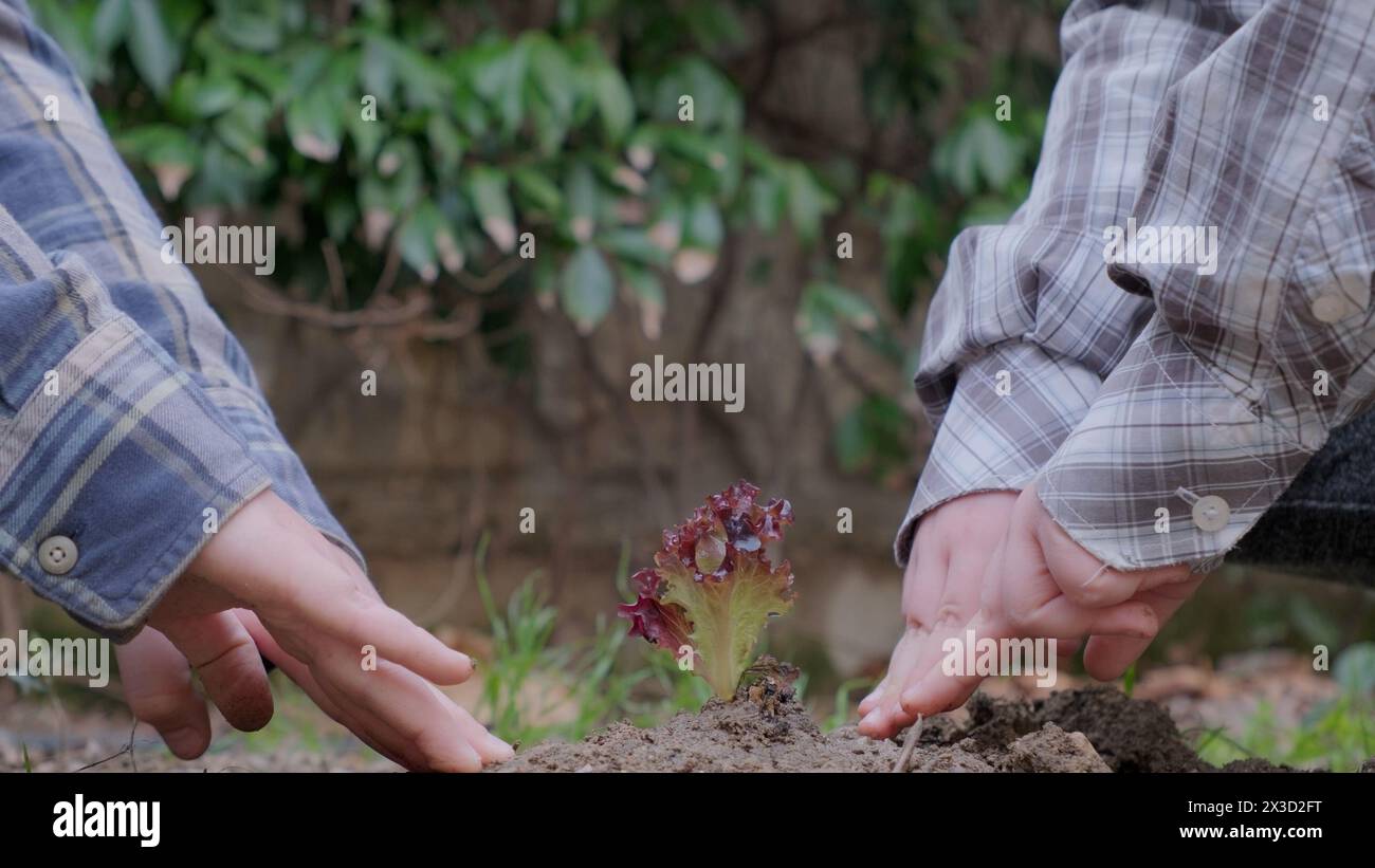 Boy planting a new tree, concept Save the Earth, save the world, save ...