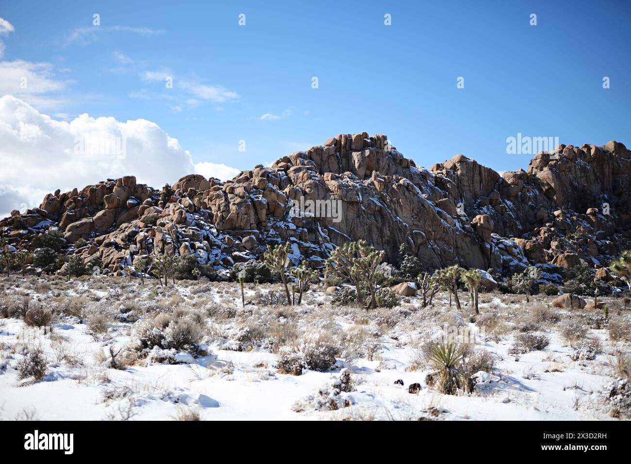 Wonderland of rocks joshua tree hi-res stock photography and images - Alamy