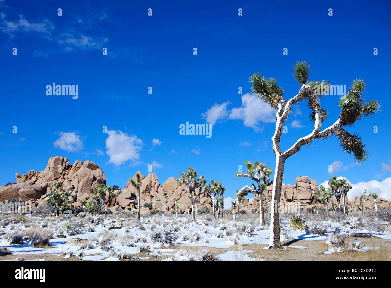 Natural backdrop features trees hi-res stock photography and images - Alamy