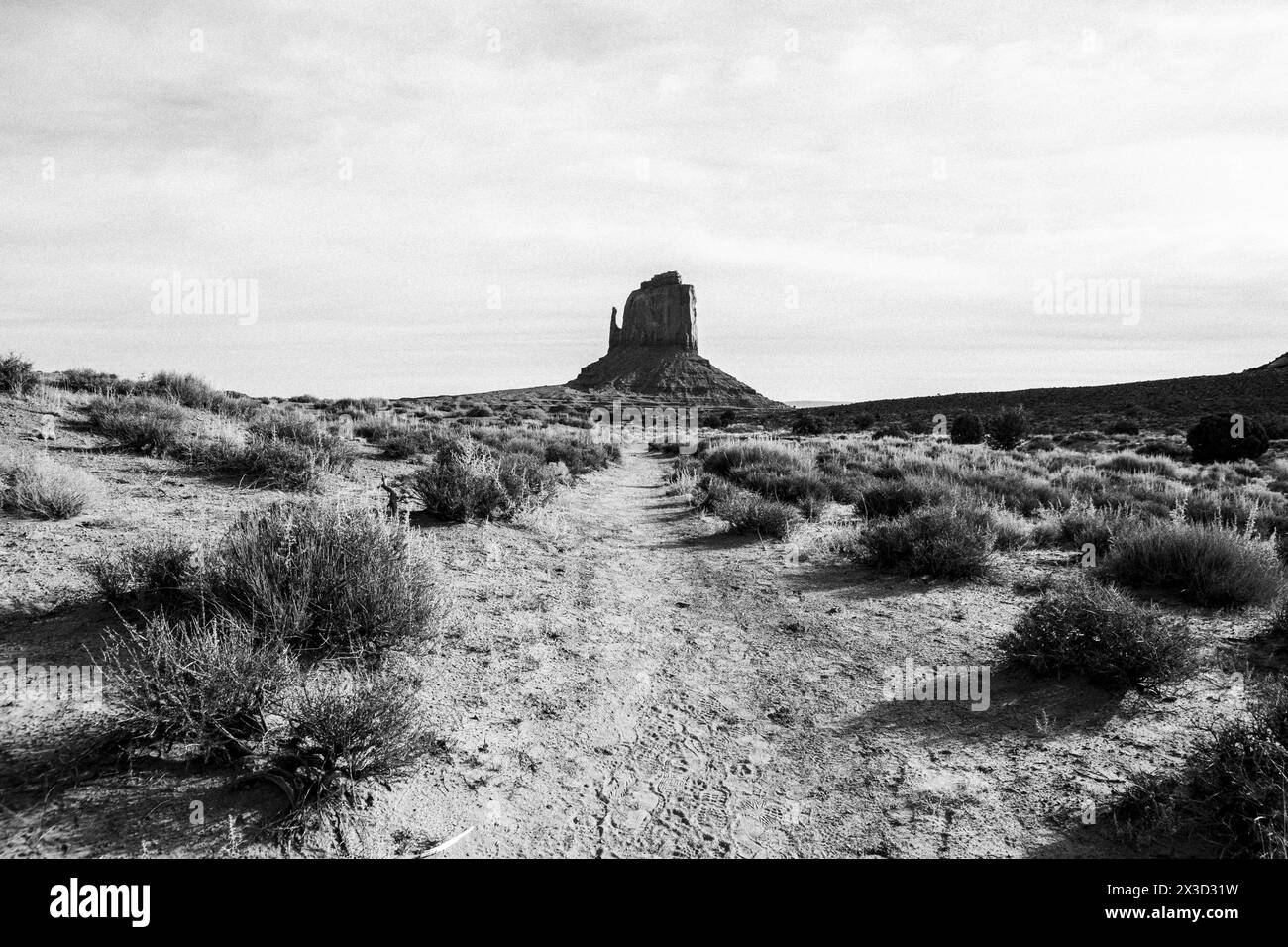 sandy trail through desert heads to tall butte, Monument Valley, Utah ...