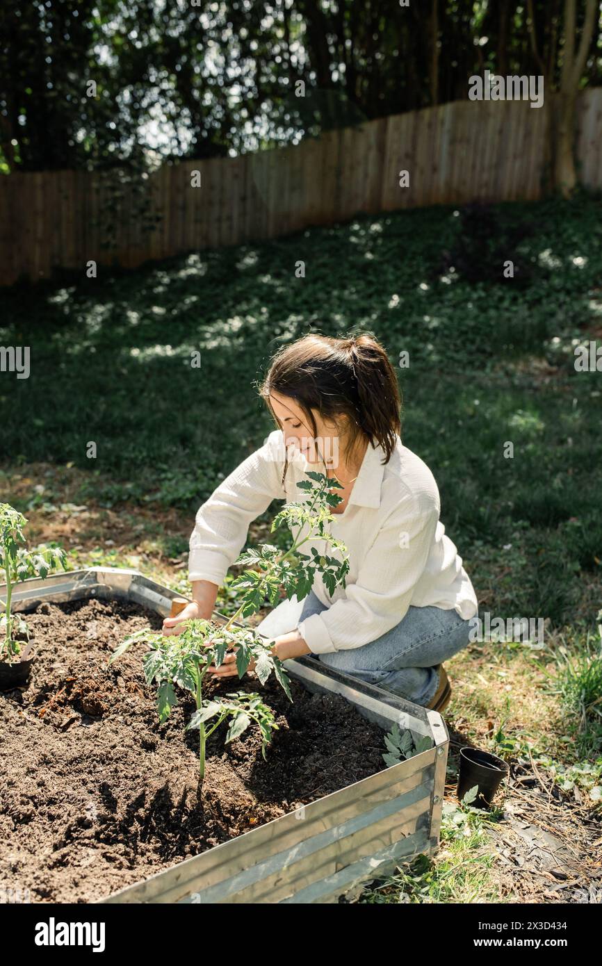 Focused woman tenderly tending to garden plants Stock Photo - Alamy