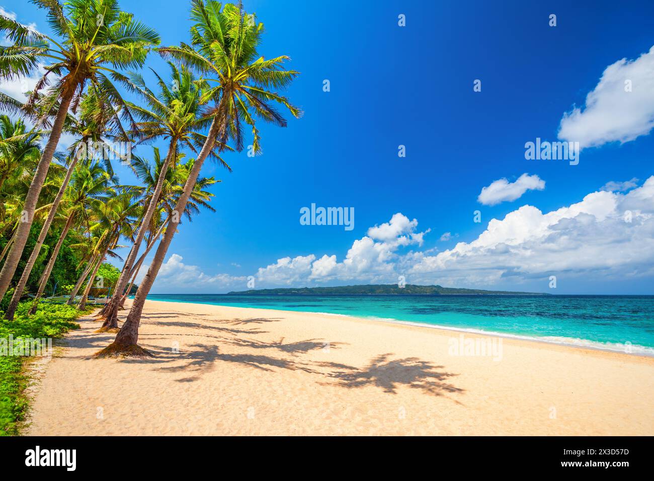 Tropical vacation at white sand beach with coconut palm trees in ...