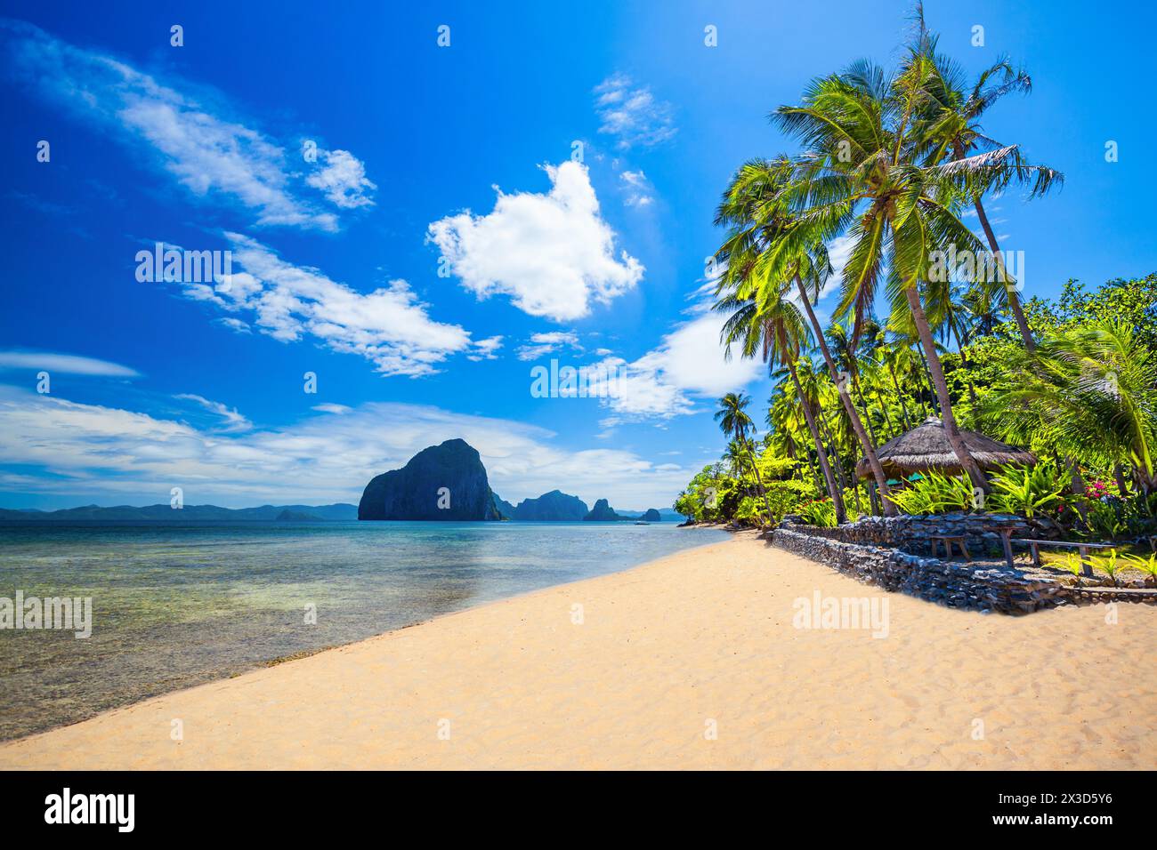 Beach with white sand, coconut palms and turquoise water in El Nido ...