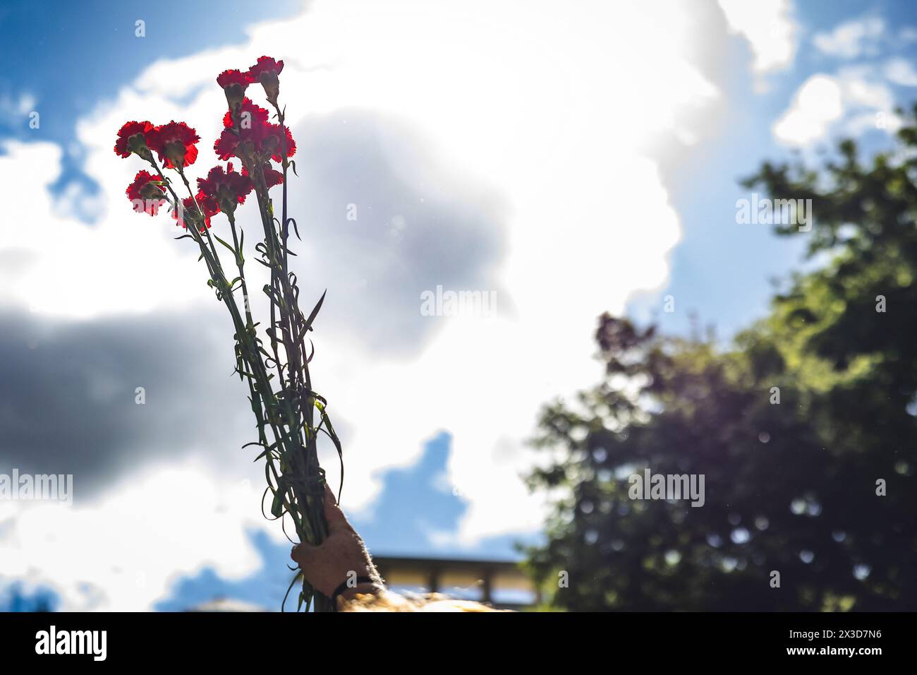 A person holds a carnation during the parade on the streets of Lisbon ...