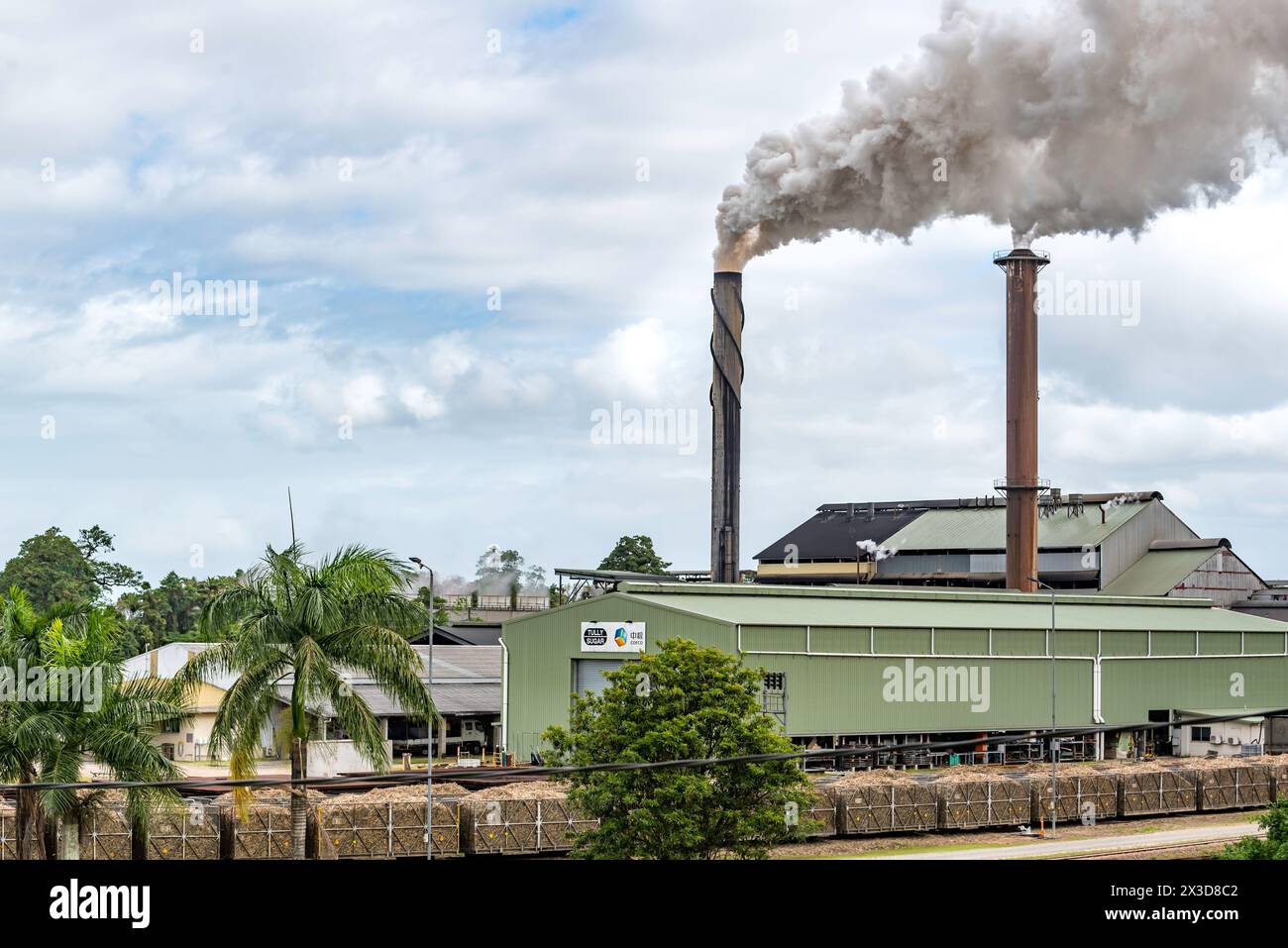 Sugar cane queensland australia hi-res stock photography and images - Alamy
