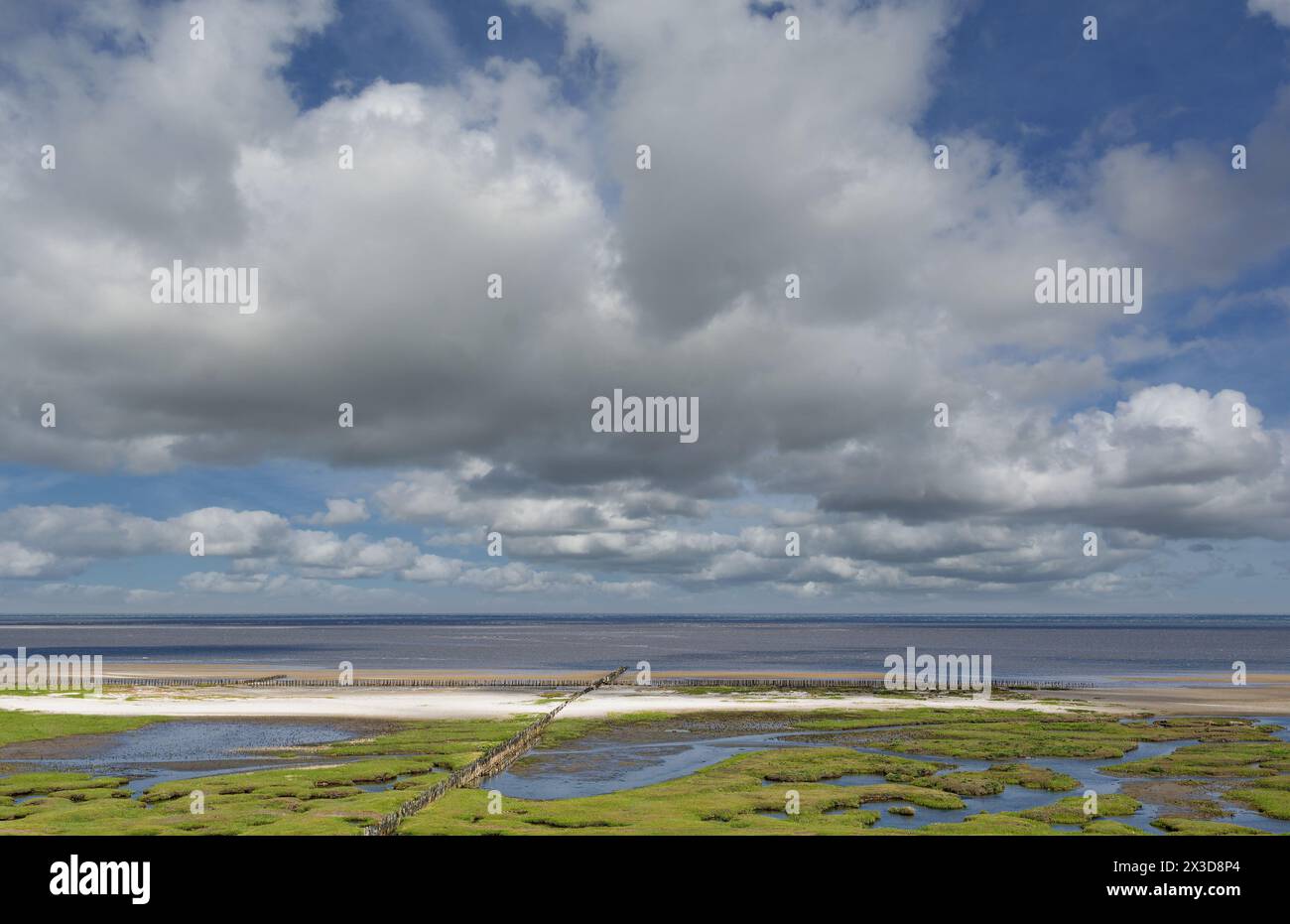 Salt Marsh with with shell limestone at coast of Stufhusen,Eiderstedt ...