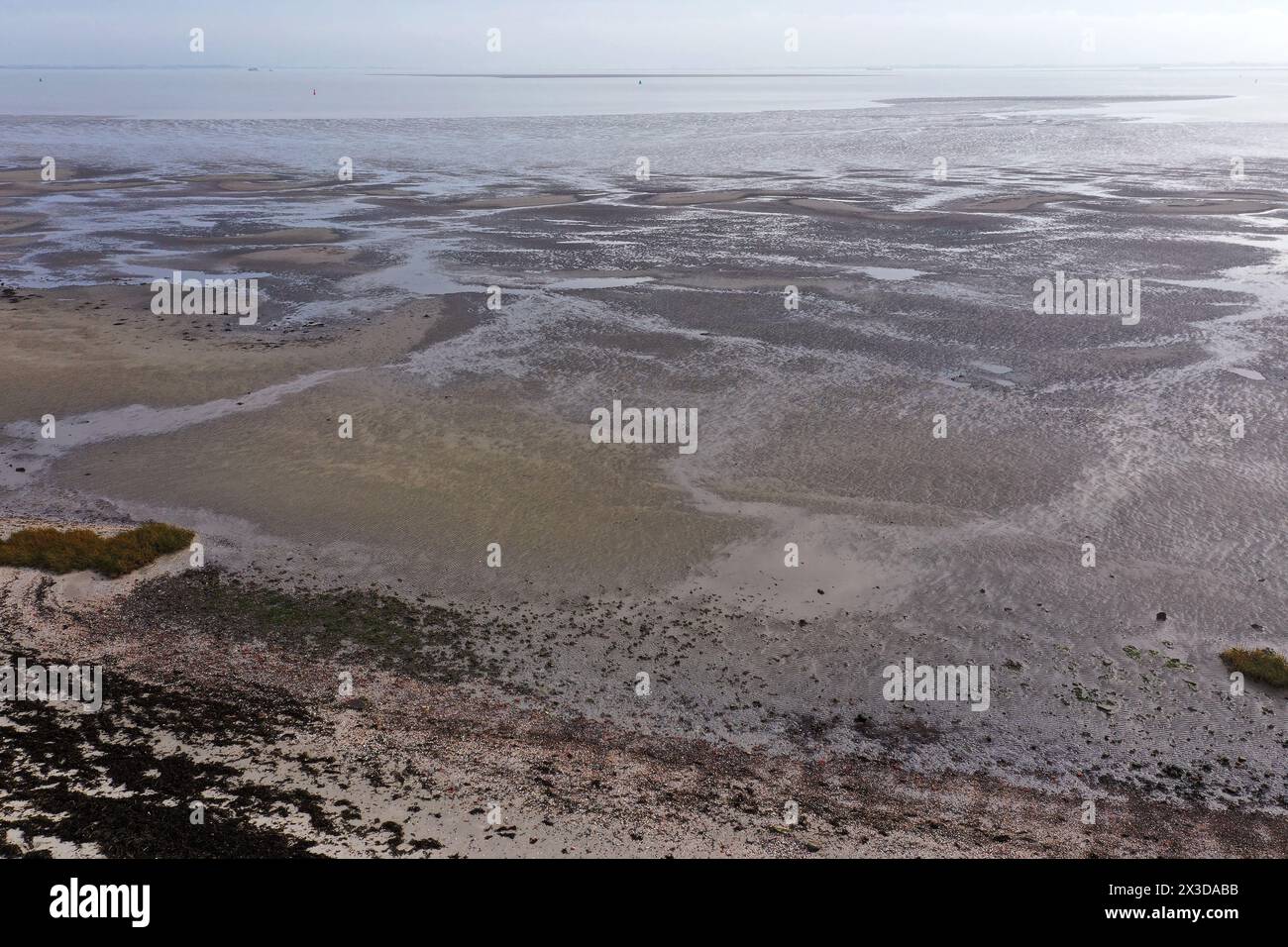 The Westerschelde during low tide, Netherlands, Westerschelde Stock ...