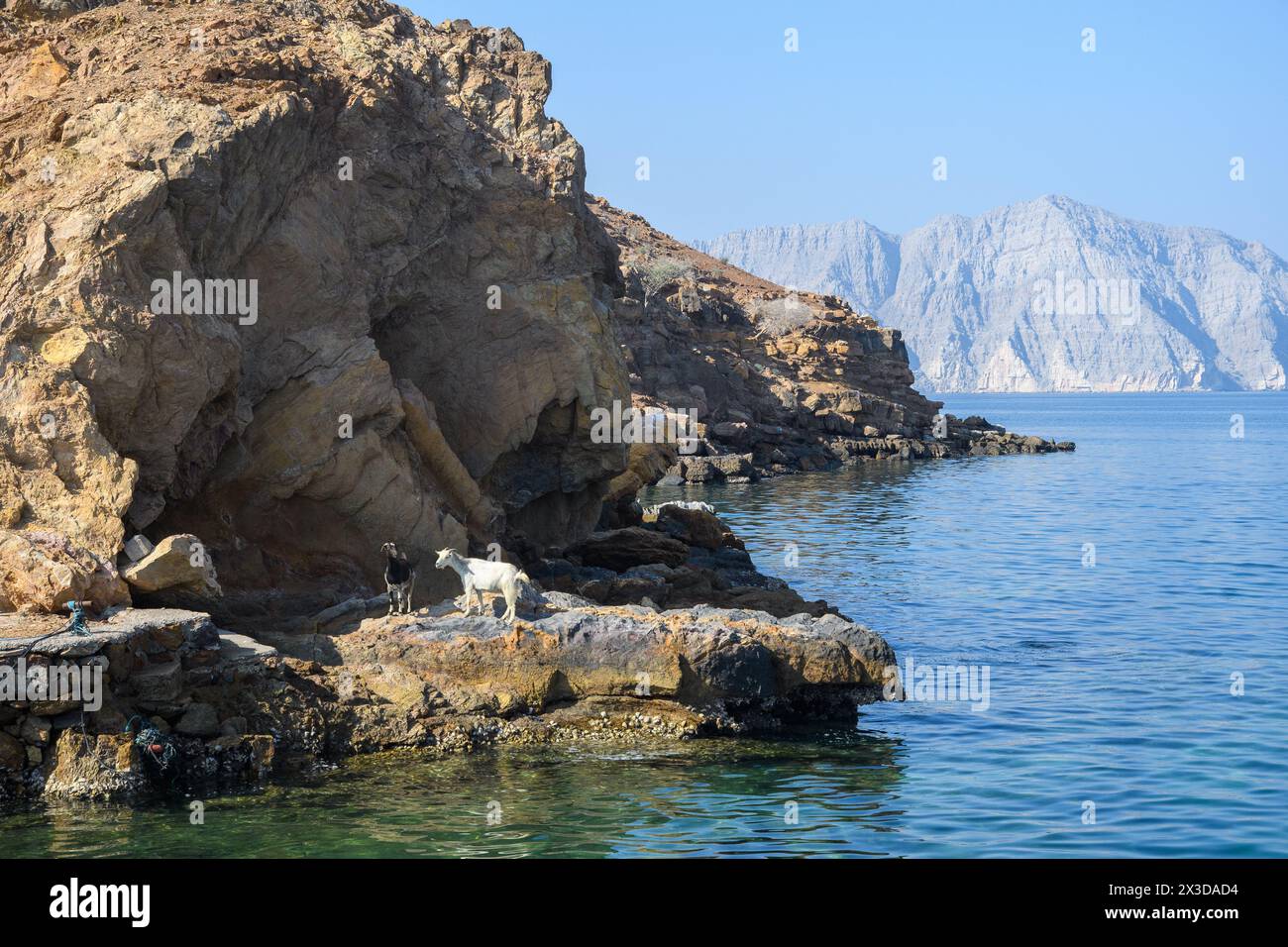 Experience the serene beauty of Khasab’s fjords, where the majestic ...