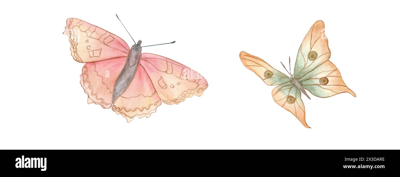 Decorative abstract butterflies. Butterfly set. Fluttering peach color ...