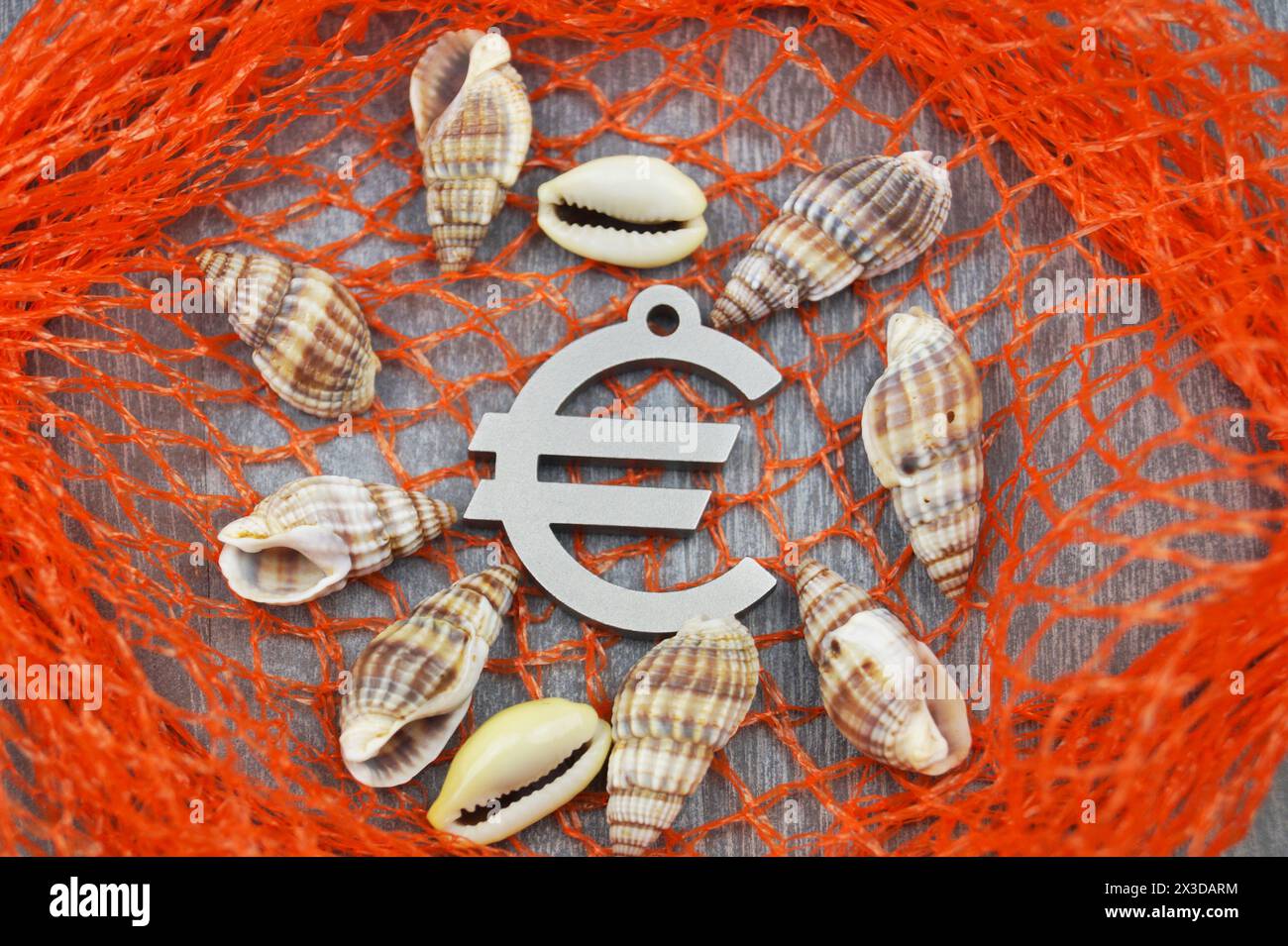 fishing net, snail shells and Euro sign, symbol for fishing quota Stock ...