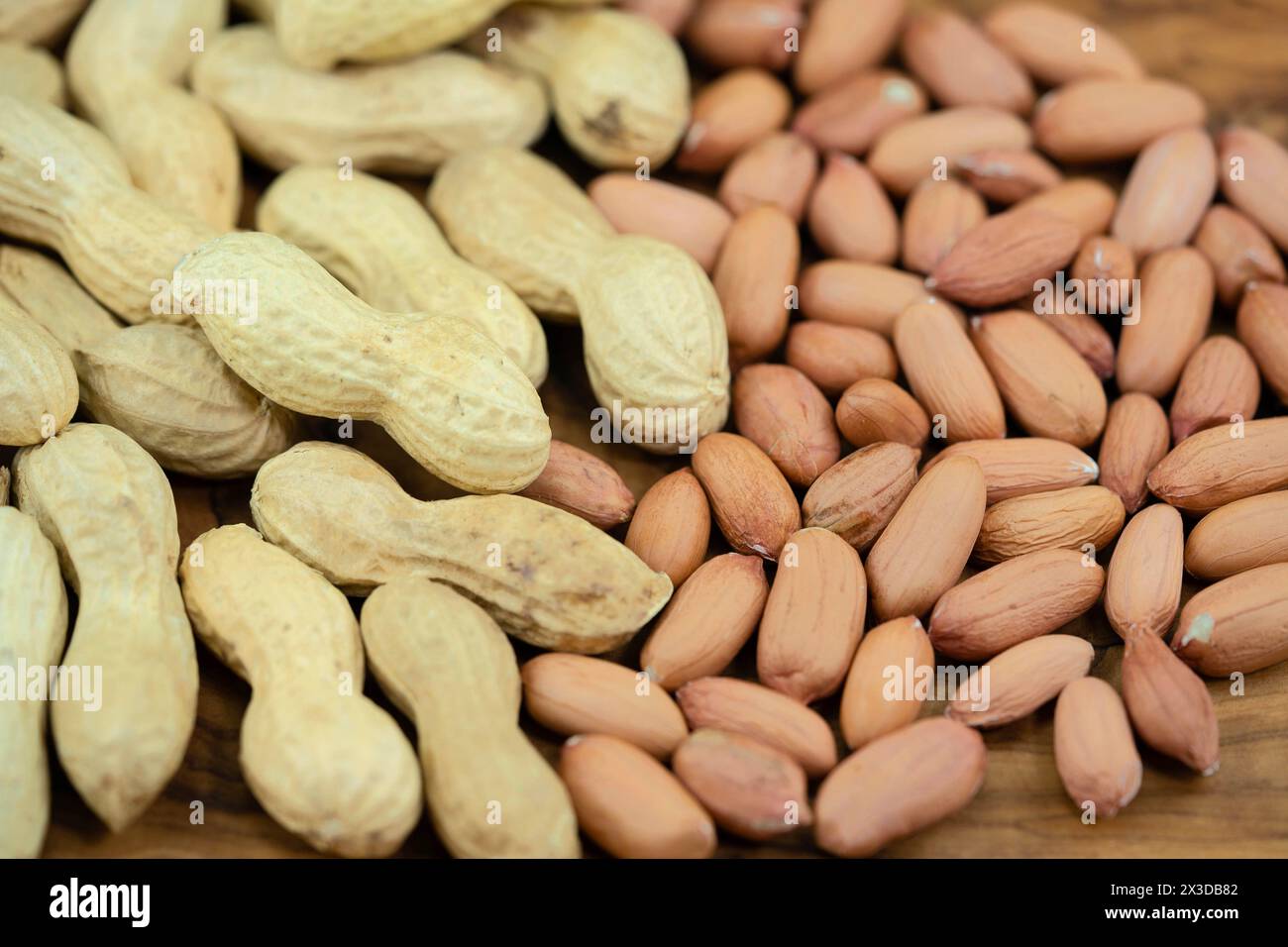 ground-nut, peanut (Arachis hypogaea), peanuts with and without shell ...