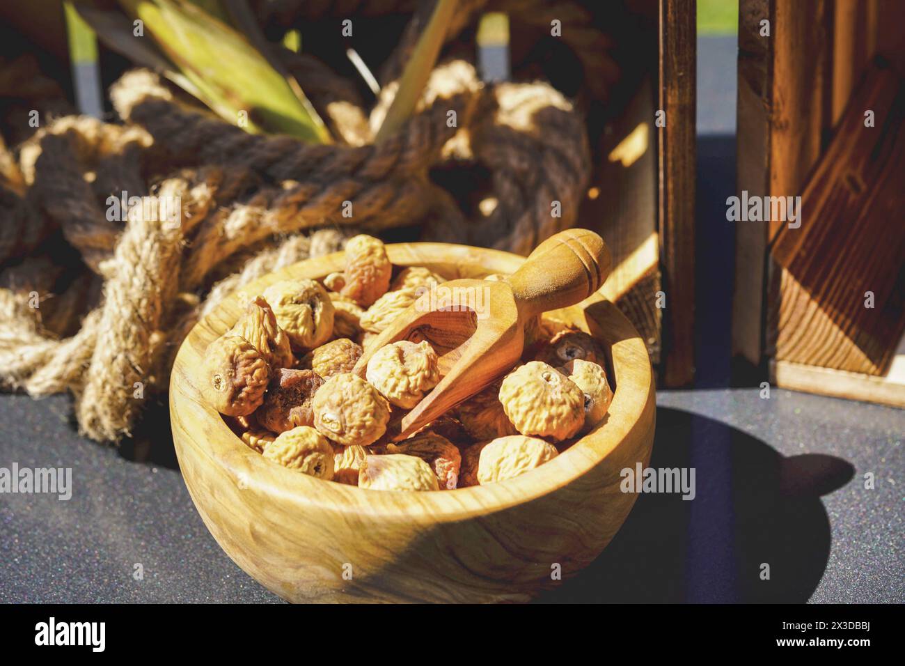 Edible fig, Common fig, Figtree (Ficus carica), dried figs in a wooden ...