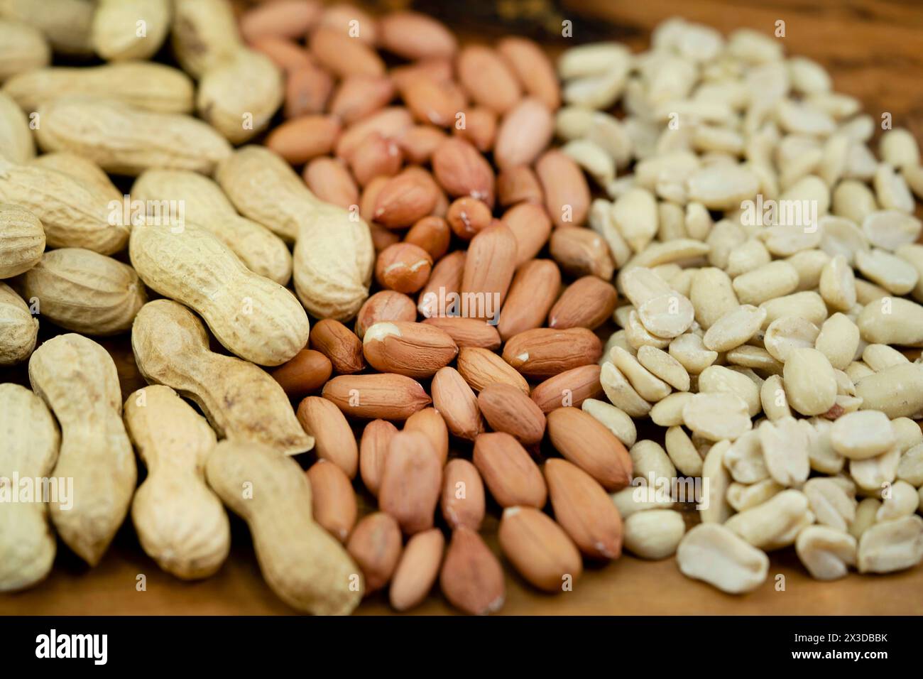 ground-nut, peanut (Arachis hypogaea), peanuts with and without shell ...