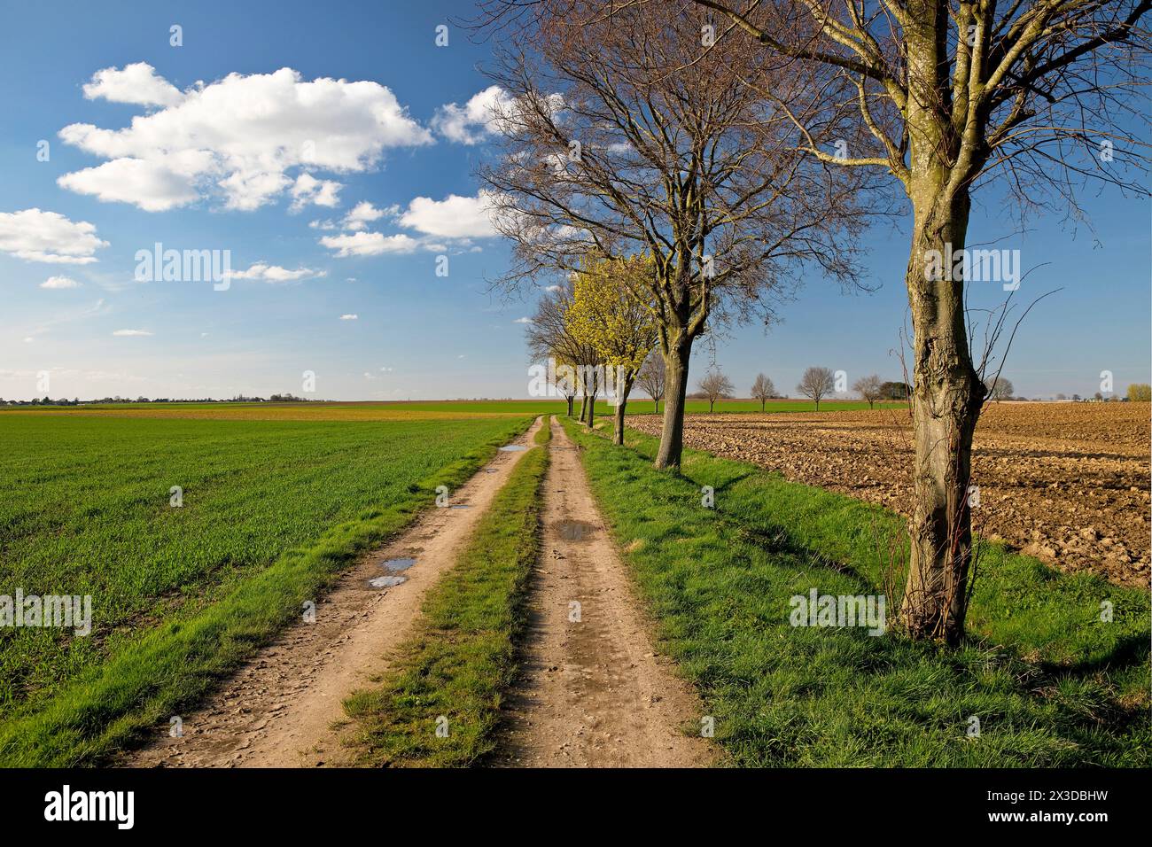Niederrheinisches tiefland hi-res stock photography and images - Alamy