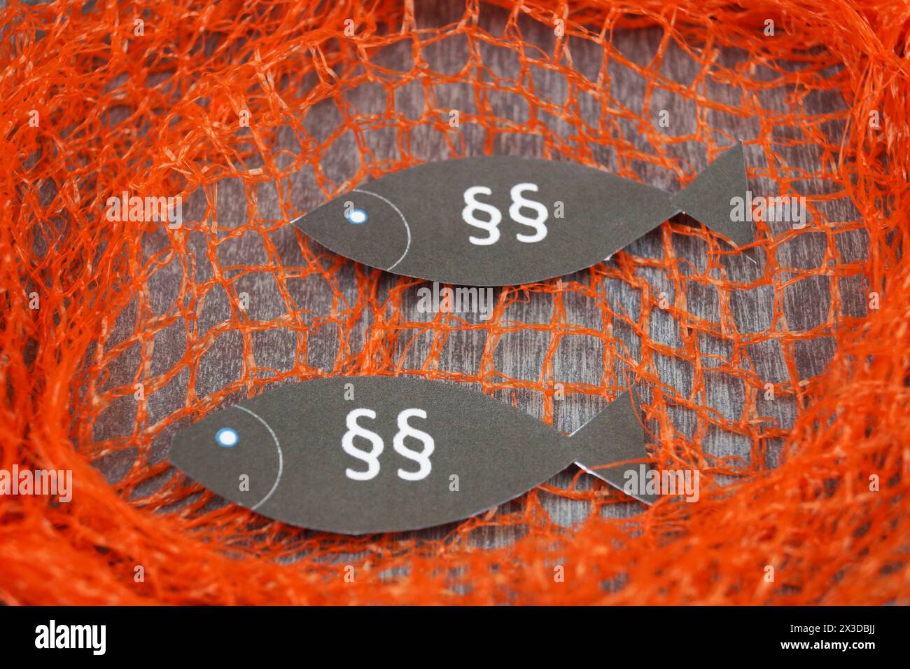 fishing net and fish shapes with paragraphs, symbol for fishing quota ...